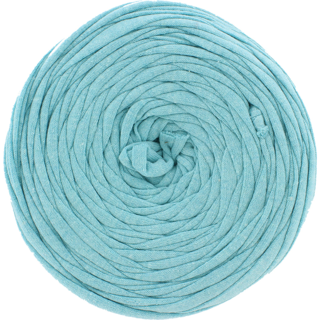 T-Shirt Yarn Virgin - MINT – The Fox Yarn Company